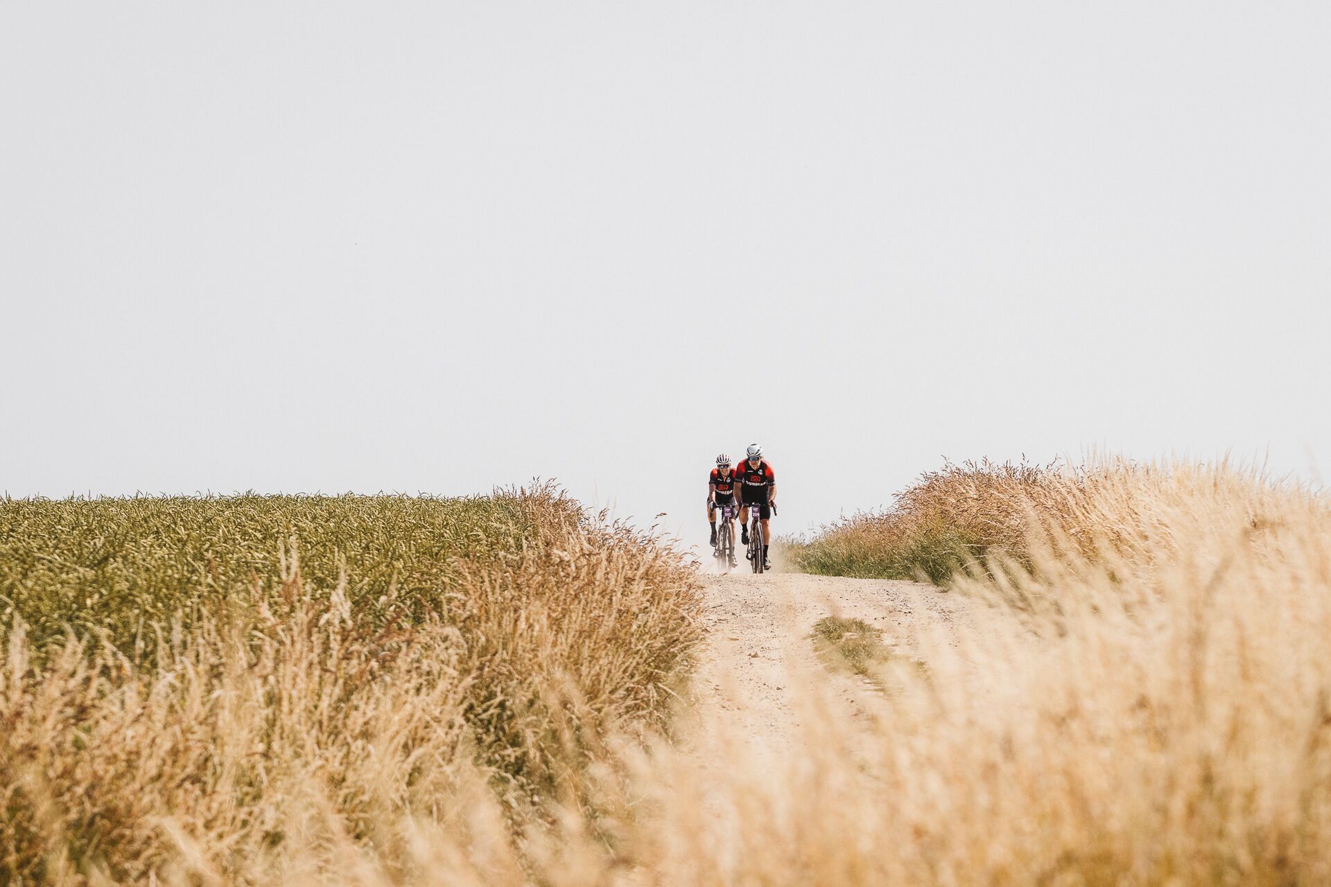 Best of gravel Vlaams-Brabant | Cycling in Flanders